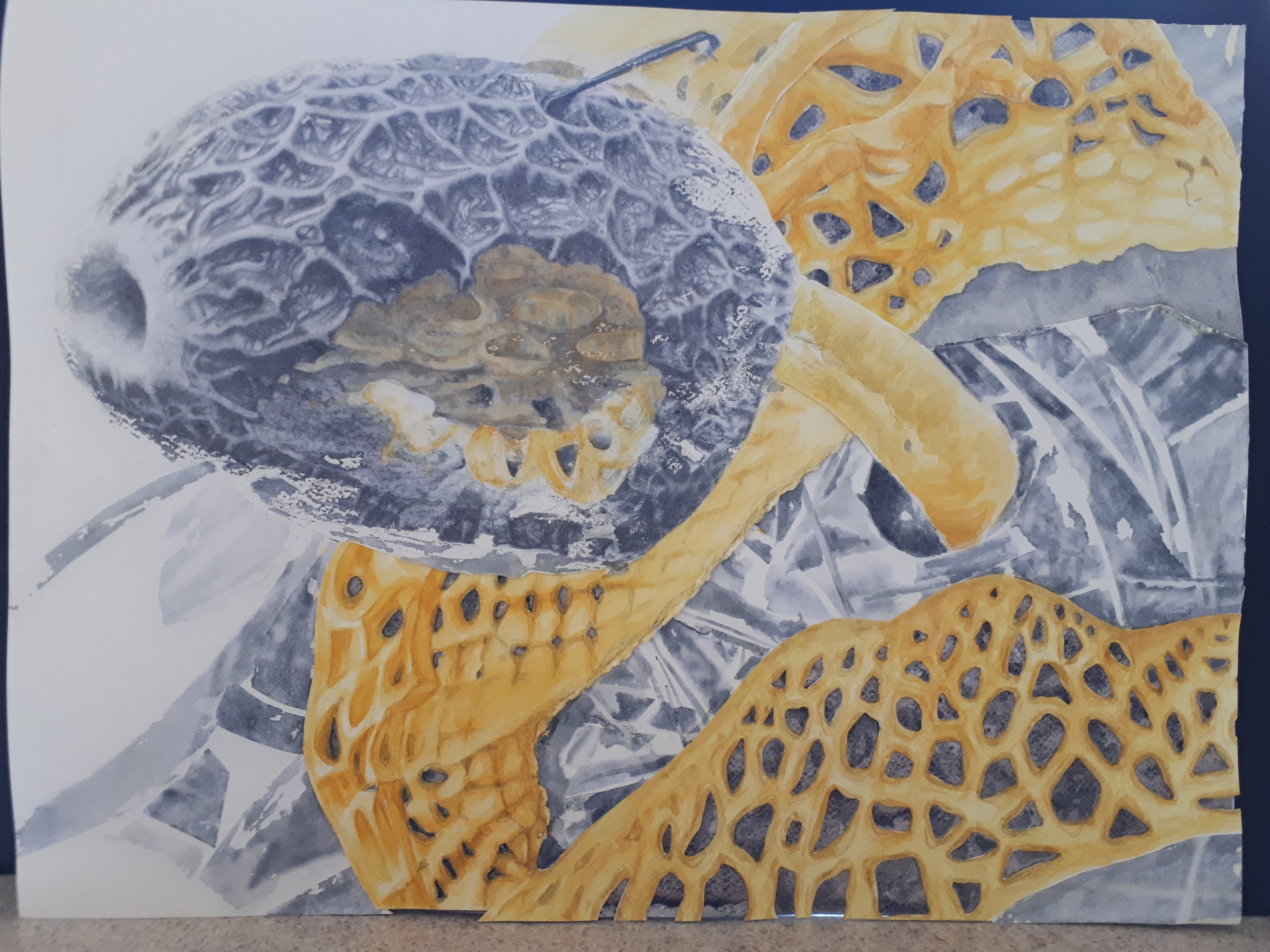 Wendy Morison – The Daejeon Arts Collective