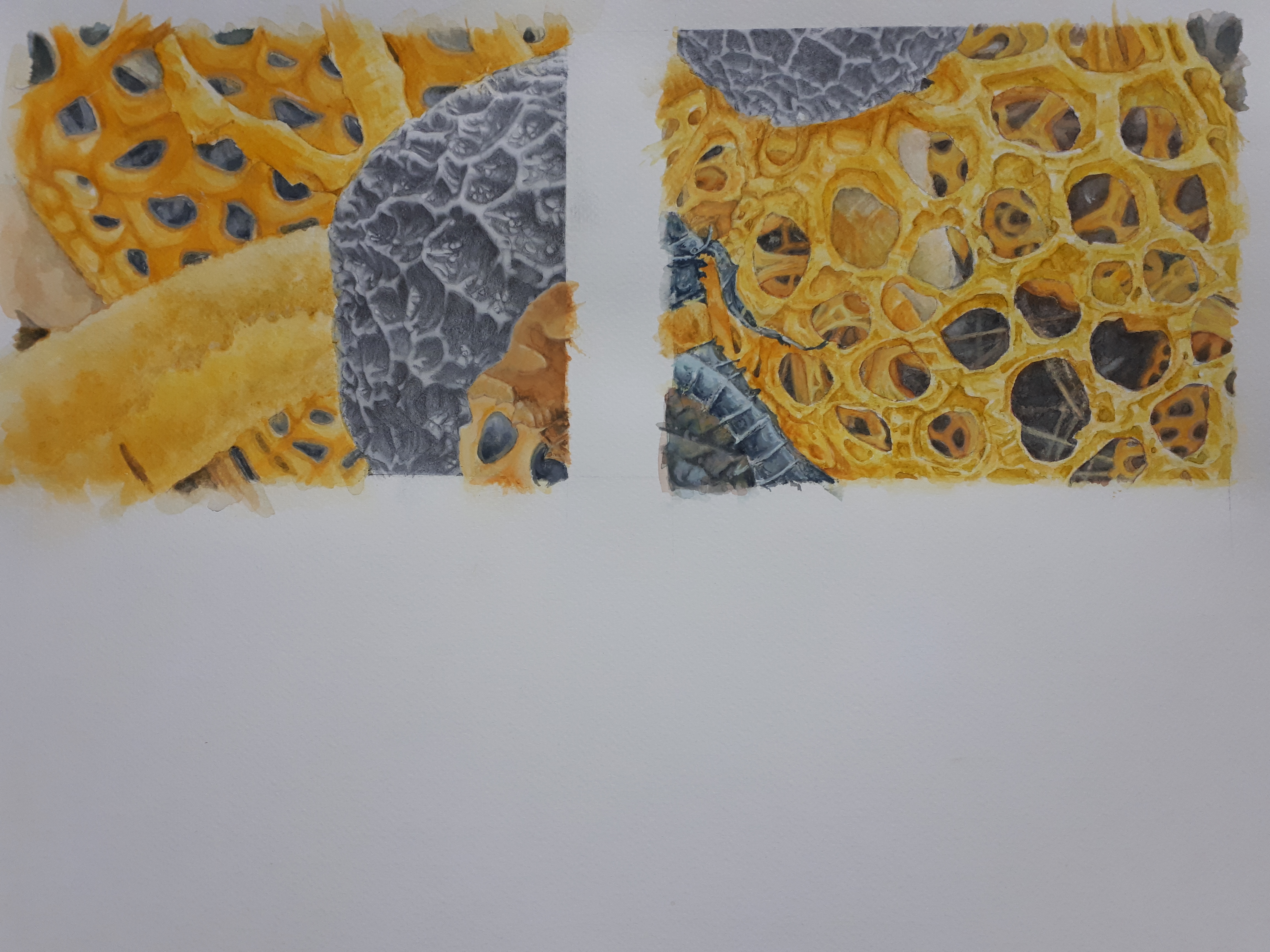 Wendy Morison – The Daejeon Arts Collective